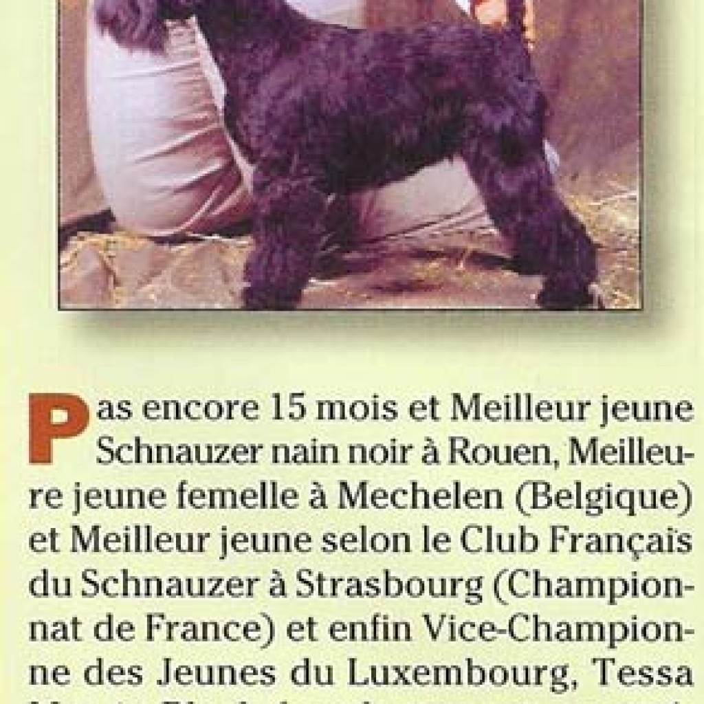 Schnauzers dans les magazines | Élevage May In Black | Essonne (91)